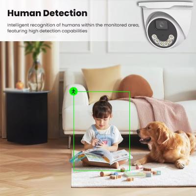 China Full Color Dome CCTV IP Camera 4MP 5MP Night Vision Network Camera Ip POE  Cctv Dome Security Camera for sale