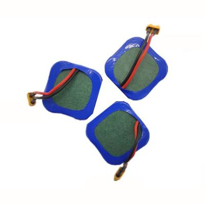 Cina Pacchetto resistente agli urti 7.4V 6.6A della batteria al litio di LFP EBike per energia eolica in vendita