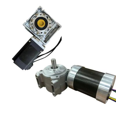 China Automatic Dc Door Opener Motor 12v 24v with Worm Planetary Gearbox for Door Gates Automation Opening Lifting and Sliding for sale