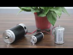 63ZYT-IP67 Series Brushed Dc Motor  High Torque Permanent Magnet Brushed DC Motor