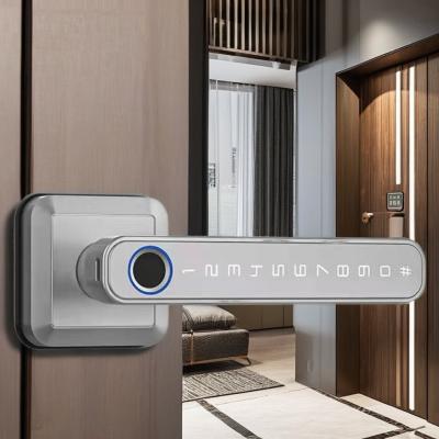 Китай Wi-Fi подключенный Bluetooth входный замок ручка для современного простоты стиль дверной замок продается