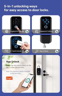 China Home Hotel Office WiFi Connected Smart Lock Tuya Network Electronic Password Box Metal Gate Glass IP65 Waterproof for sale