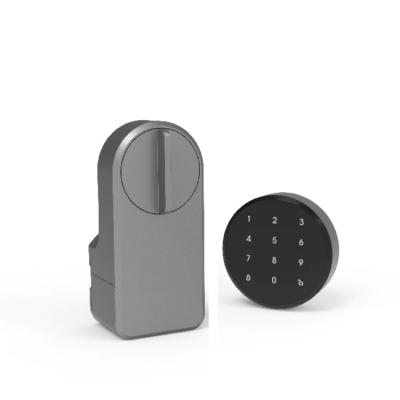 Cina 1 anno di durata della batteria Alta sicurezza Chiusura elettronica smart porta per vetro Legno Porta in acciaio in vendita