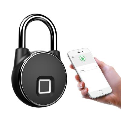 Cina Sicurezza senza sforzo Tuya Smart Cabinet Lock con biometria e motore di ingranaggi planetari M10 in vendita