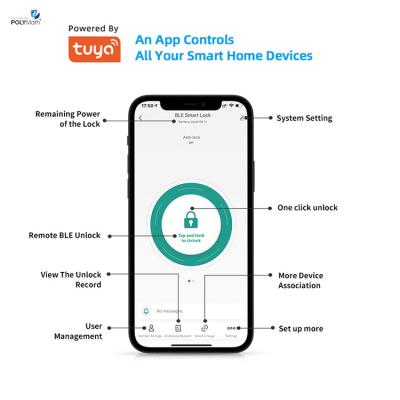 Cina Tecnologia avanzata TUYA App controllata da impronte digitali biometriche Smart Lock per porte in acciaio in vendita