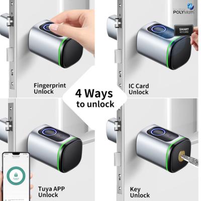 China Steel Door Fingerprint Smart Cylinder Lock with Memory Card and Access Card Options for sale