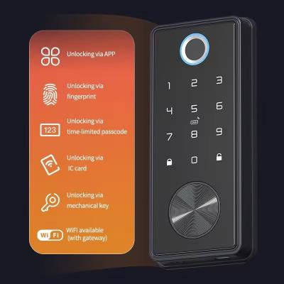 Китай Революционный домашний охранный Black Wifi Smart Lock с отпечатками пальцев TTlock APP Control продается