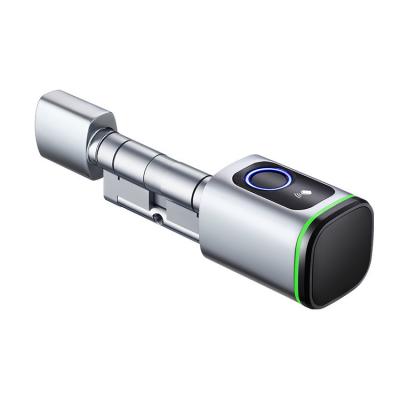 China Upgrade Your Home Security with Tuya Fingerprint Smart Door Lock and Wifi Control for sale