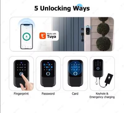 China IP65 Waterproof Tuya Outdoor Smart Lock with WiFi Connectivity and Fingerprint Reader for sale