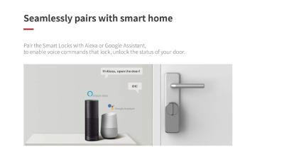 중국 투야 목문 메모리 카드 저장용 회색 와이파이 스마트 게이트 잠금 판매용