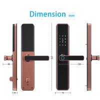 China Tuya Electronic Smart Door Lock with Blue-tooth Network Cloud Data Storage Option for sale