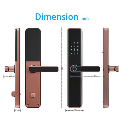 China Tuya Elektronische Smart Door Lock mit Cloud-Datenspeicheroption zu verkaufen