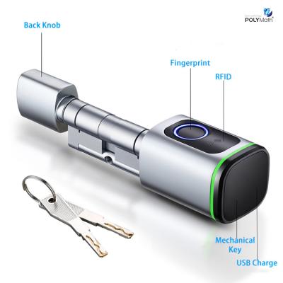 China Wood Door Tuya Smart Cylinder Gate Lock with Remote Control and Fingerprint Unlock for sale