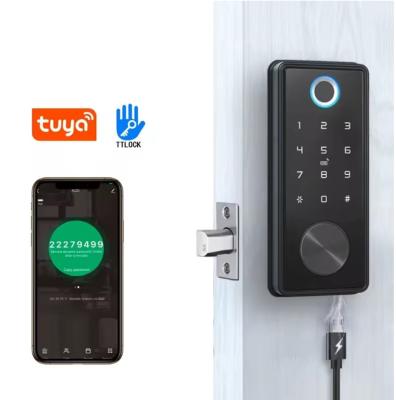 China Zinc Alloy Smart Door Lock Fingerprint WiFi Digital Hotel Lock System Keyless Gate Lock for sale