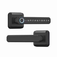 China Memory Card Data Storage Options HOT Smart Handle Fingerprint Digital Locks with Key for sale