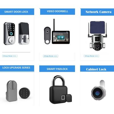 China High Safety and Durable OEM Offered Smart Fingerprint Electric Small Drawer Cabinet Lock for sale