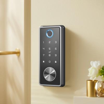 China Multi-function Blue Tooth Lock for Wood Doors Mordern Style Fingerprint and Card Access for sale