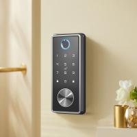 China Memory Card Data Storage Four-in-one Tuya Door Lock Smart Electronic Fingerprint Code for sale