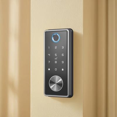 China Smart WiFi Fingerprint Door Lock for Wood Aluminum and Steel Doors Memory Card Option for sale