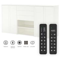 China Blue tooth Network Touch Digital Panel Keyless Cabinet Lock for Password Locker Item for sale