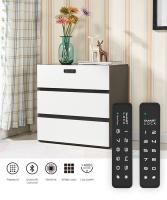 China Blue tooth Network Touch Digital Panel Keyless Cabinet Lock for Password Locker Item for sale