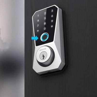 中国 モダンなネットワーク対応のTuya Wifi バイオメトリック指紋 デジタルキーレス スマートドアロック 販売のため