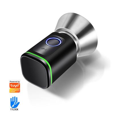 중국 TUYA WiFi BLE 스마트 침실 문 잠금 실린더와 메모리 카드로 집을 보호하세요 판매용