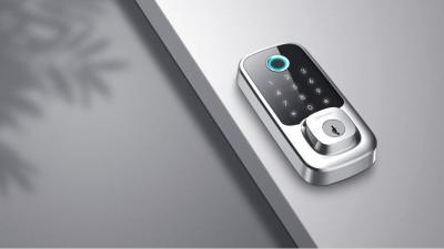 중국 스마트 보안 키와 메모리 카드 기능이 있는 외관 지문문 잠금 판매용