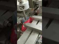 Het Masker van 60 Zakkenmin semi auto flat bags Gezichts het Vullen Machine voor Schoonheidsmiddelen