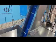 Disposable Project Line Factory Customized Syringe Filling Machine Line