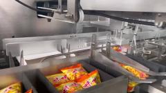 WZTS-130 Automatic cartoning machine with dessert