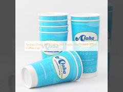 Factory Direct 8oz Double Wall Plastic-free Coated 300ml Coffee Cup