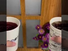 Disponible 12 oz 430 ml Single Paper Cup Revestimiento de PLA Eco-amigable