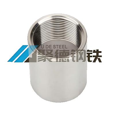 China 304 316L Stainless Steel Pipe Fittings with Double Internal Thread for Corrosion Resistant Water Pipe Connector for sale