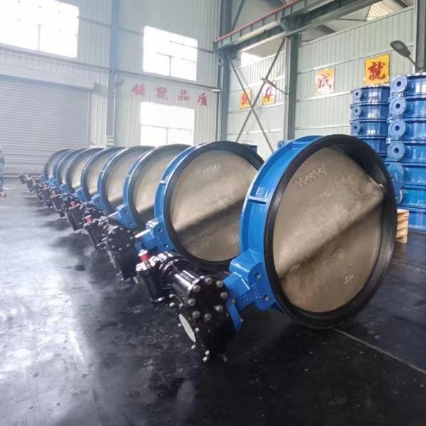 Quality Handle Butterfly Valve Ductile Iron Manual Wafer Type Soft Seal Butterfly Valve for sale