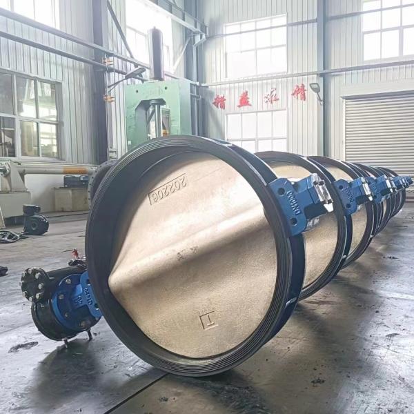 Quality Handle Butterfly Valve Ductile Iron Manual Wafer Type Soft Seal Butterfly Valve DN50 100 150 200 for sale