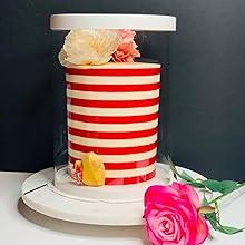 Clear Cake Box