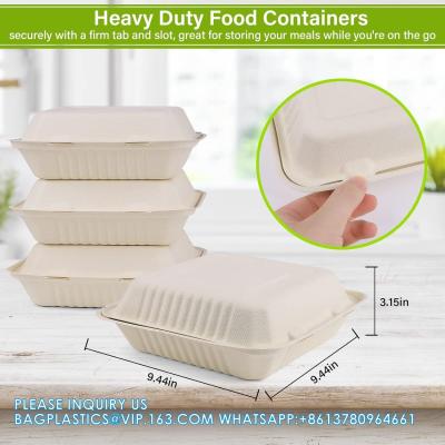 China 100% Compostable Clamshell Take Out Food Containers [8X8