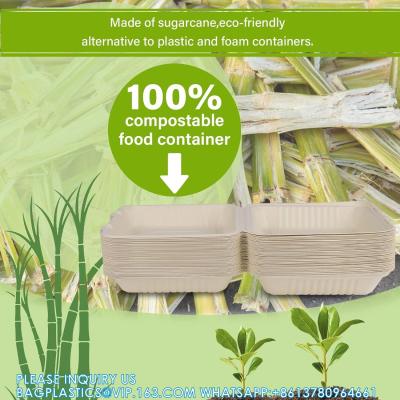 China 100% Compostable Clamshell Take Out Food Containers [8X8