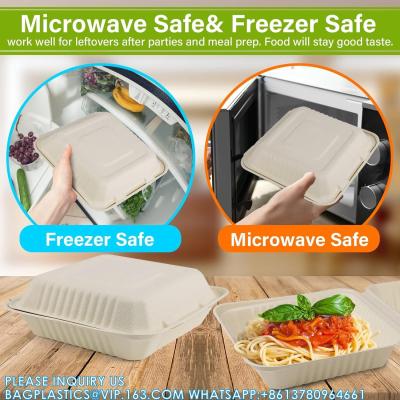 China 100% Compostable Clamshell Take Out Food Containers [8X8