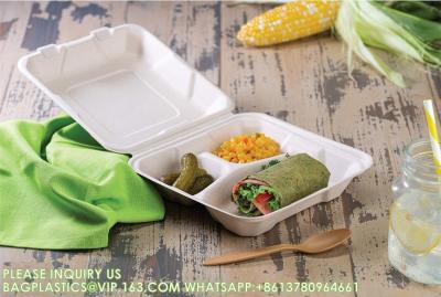 China 100% Compostable Clamshell Take Out Food Containers [8X8