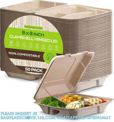 China 100% Compostable Clamshell Take Out Food Containers [8X8