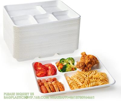 China 5 Compartment Plates, 125 Pack Disposable Paper Plates, Biodegradable Sugarcane Plates, Eco-Friendly School for sale