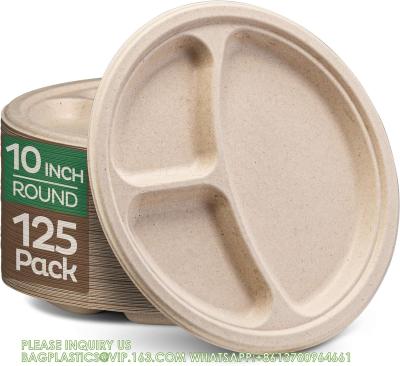 China Placas de papel desechables compostables 10 pulgadas de trabajo pesado, ecológico 9 
