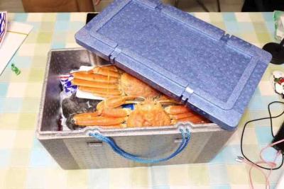 China OEM Expanded Polypropylene EPP Foam Forming Cooler Box For Food Epp Foam Cooler Box For Traveling or Camping for sale