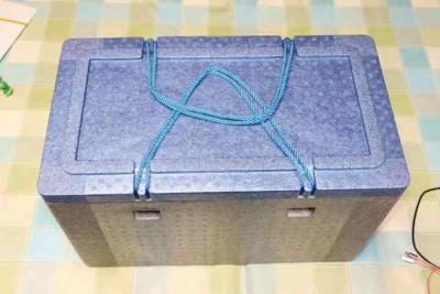 China OEM Expanded Polypropylene EPP Foam Forming Cooler Box For Food Epp Foam Cooler Box For Traveling or Camping for sale
