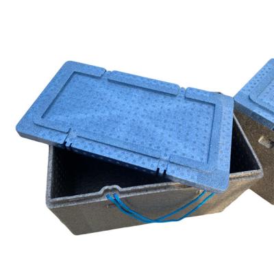 China OEM Expanded Polypropylene EPP Foam Forming Cooler Box For Food Epp Foam Cooler Box For Traveling or Camping for sale