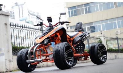 China China Electric ATV1000W for sale