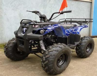 China China ATV110CC04 for sale