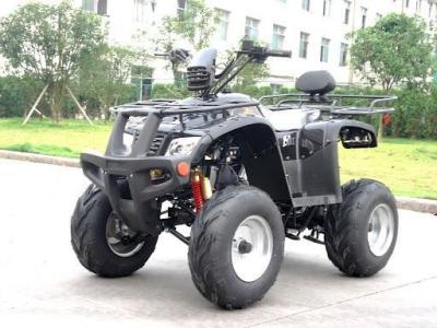 China China ATV250CC01 for sale